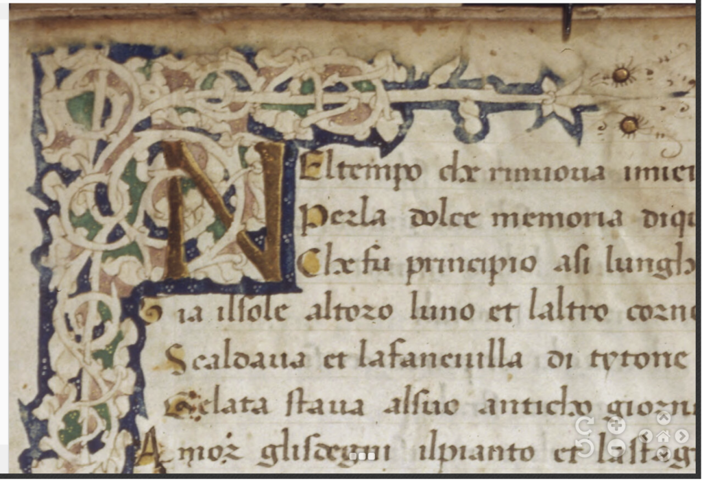 Italian Manuscript Letters – Dan Williford